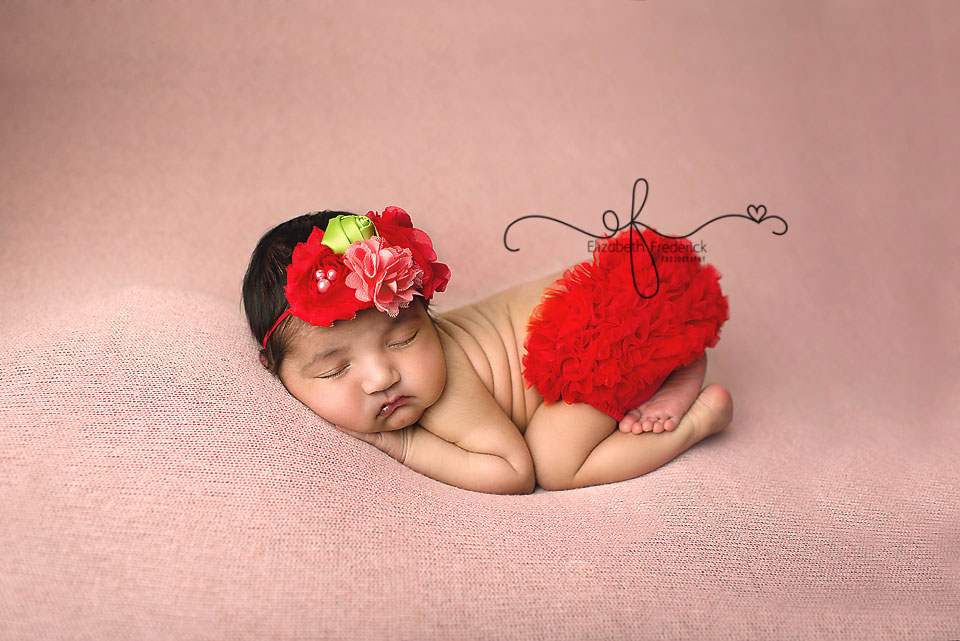 Reya | Rocky Hill, CT Newborn Photographer - Elizabeth Frederick ...