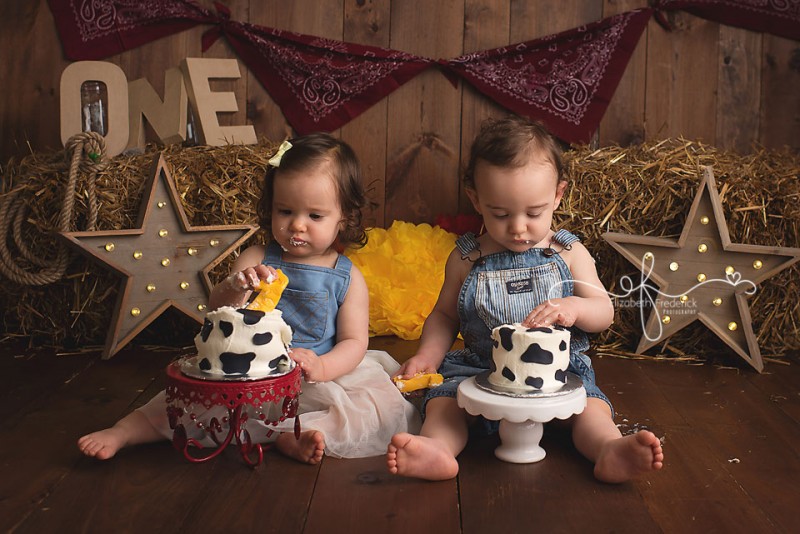 Autumn & Abram | Farm Themed Smash Cake Session | Twin Smash Cake | CT ...