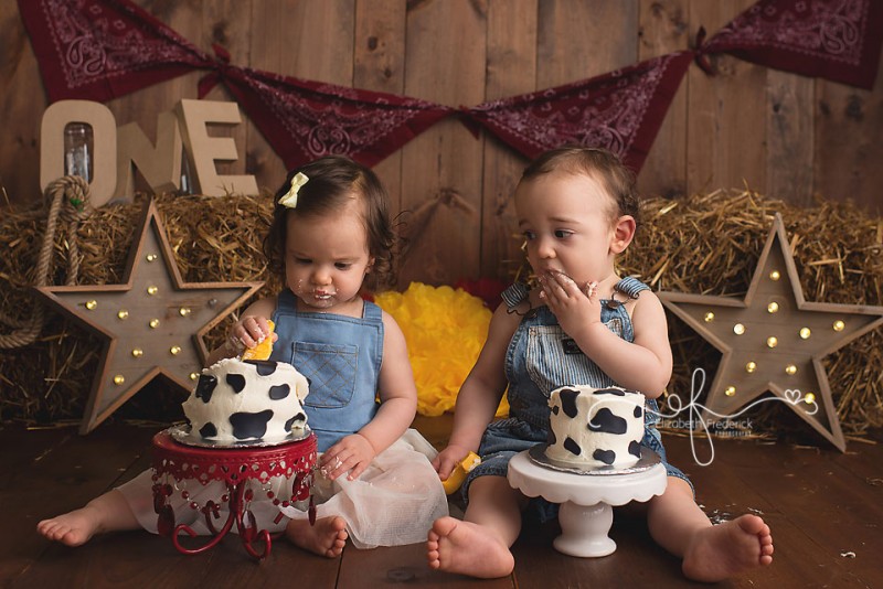 Autumn & Abram | Farm Themed Smash Cake Session | Twin Smash Cake | CT ...