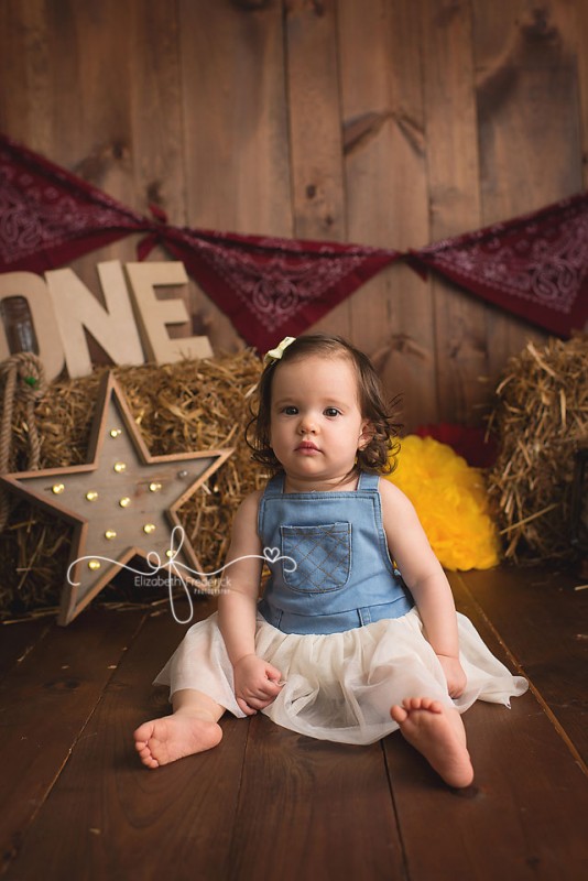 Autumn & Abram | Farm Themed Smash Cake Session | Twin Smash Cake | CT ...