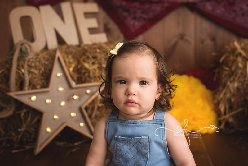 Autumn & Abram | Farm Themed Smash Cake Session | Twin Smash Cake | CT ...