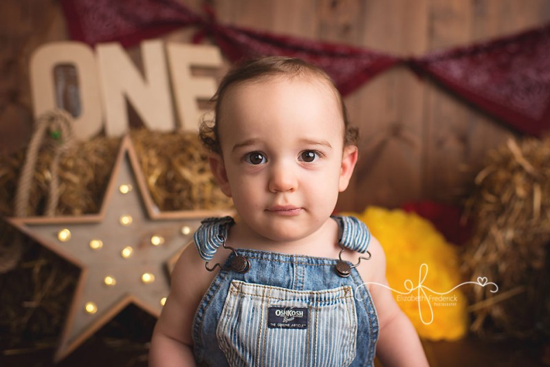 Autumn & Abram | Farm Themed Smash Cake Session | Twin Smash Cake | CT ...