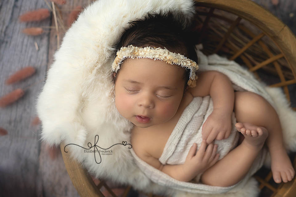 Shea | West Hartford, CT Newborn Photographer - Elizabeth Frederick ...